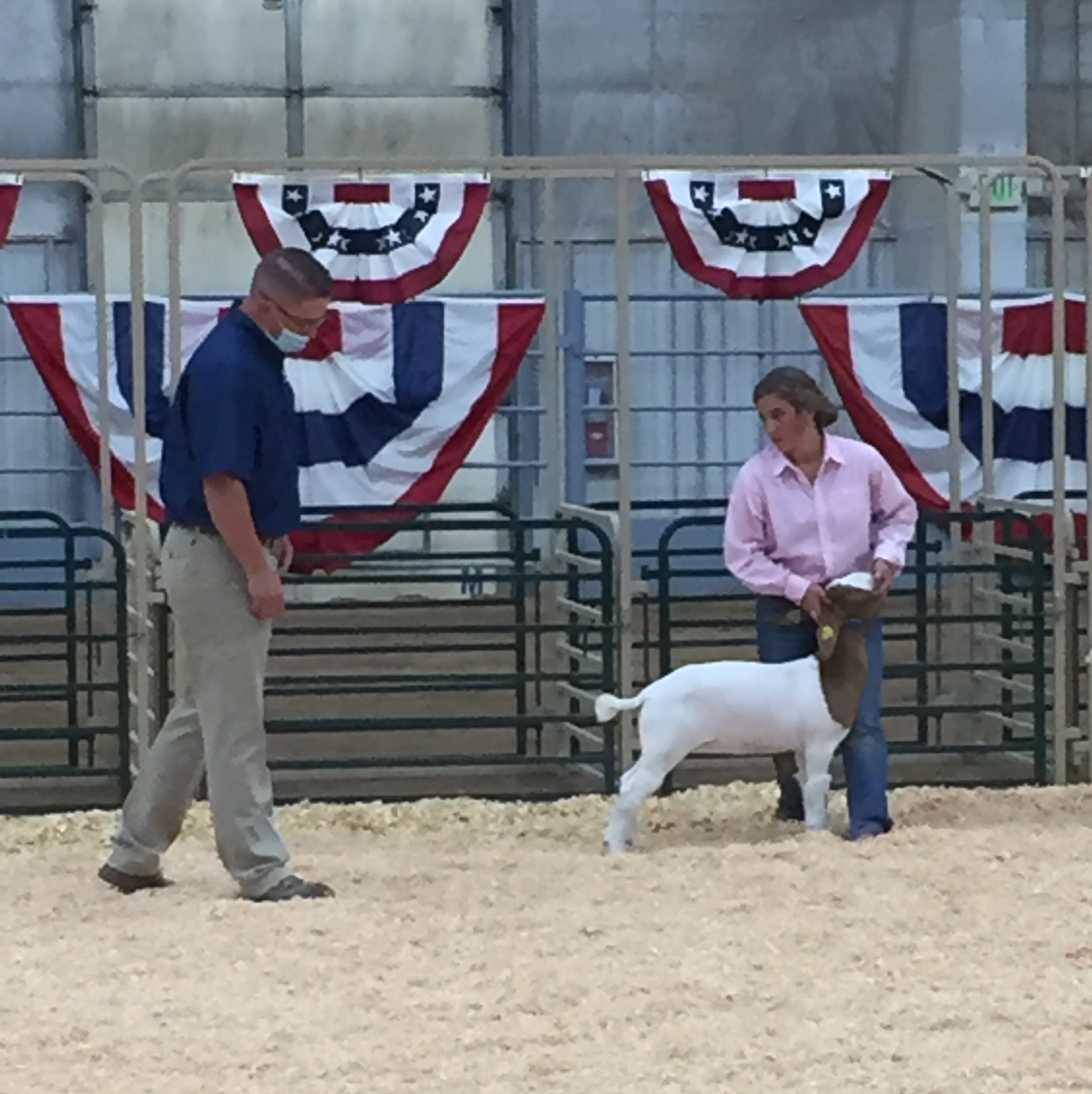 Douglas County Fair Foundation | Photo Gallery